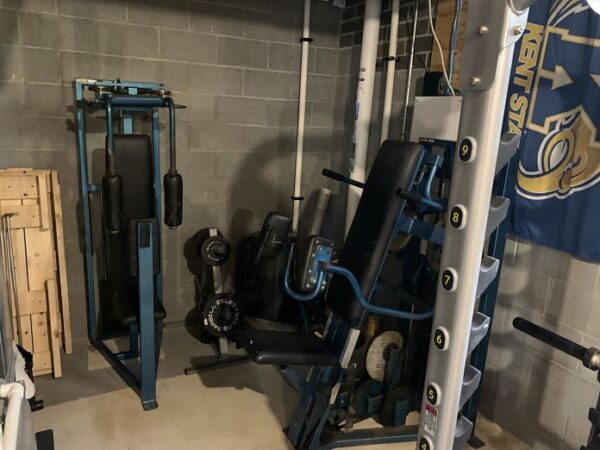Step into Shawn Donaldson’s Basement Gym | Garage Gym Lab