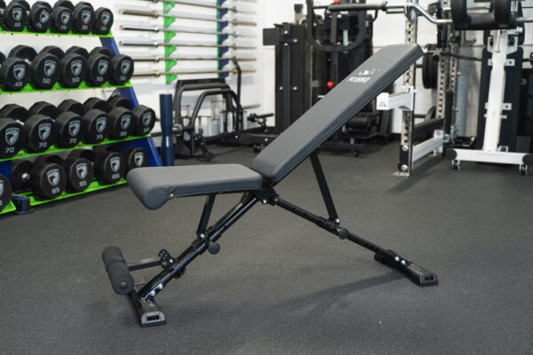 Flybird Adjustable Bench Review (2024) | Garage Gym Lab