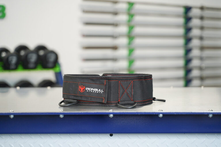 7 Best Dip Belts in 2024 (Real Testing) | Garage Gym Lab