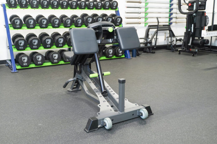 Prime Fitness Shorty Adjustable Bench Review (2024) | Garage Gym Lab