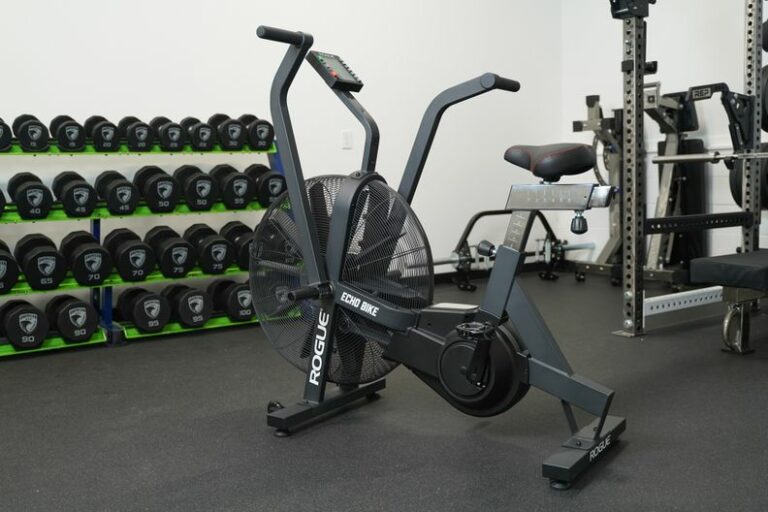 Rogue Echo Bike In-Depth Review (2026) | Garage Gym Lab