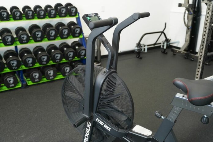 Rogue Echo Bike In-Depth Review (2026) | Garage Gym Lab